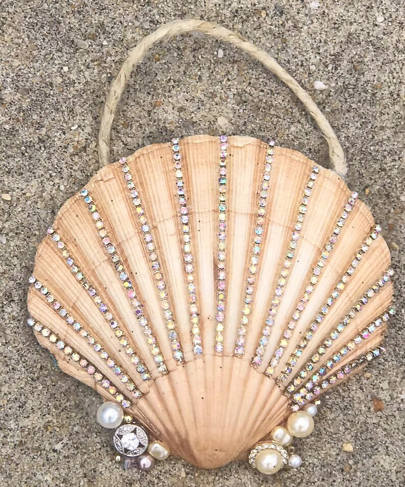Shimmer Coral Glam Clam Shell - Etsy