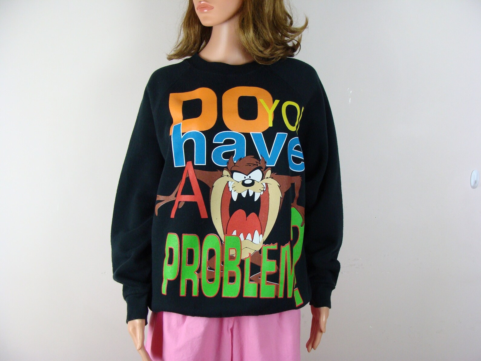 Vintage Taz Sweatshirt 90s Tasmanian Devil Do You Have A Problem Looney ...