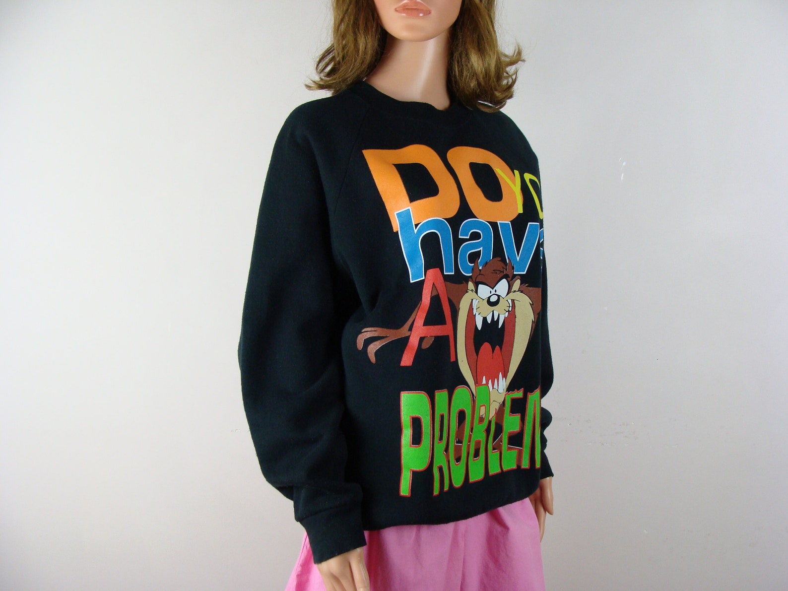 Vintage Taz Sweatshirt 90s Tasmanian Devil Do You Have A Problem Looney ...