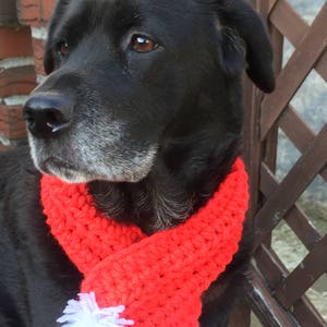 Santa Scarf for Dog — Red Dog Scarf With Pom Poms — Red Dog Scarf ...