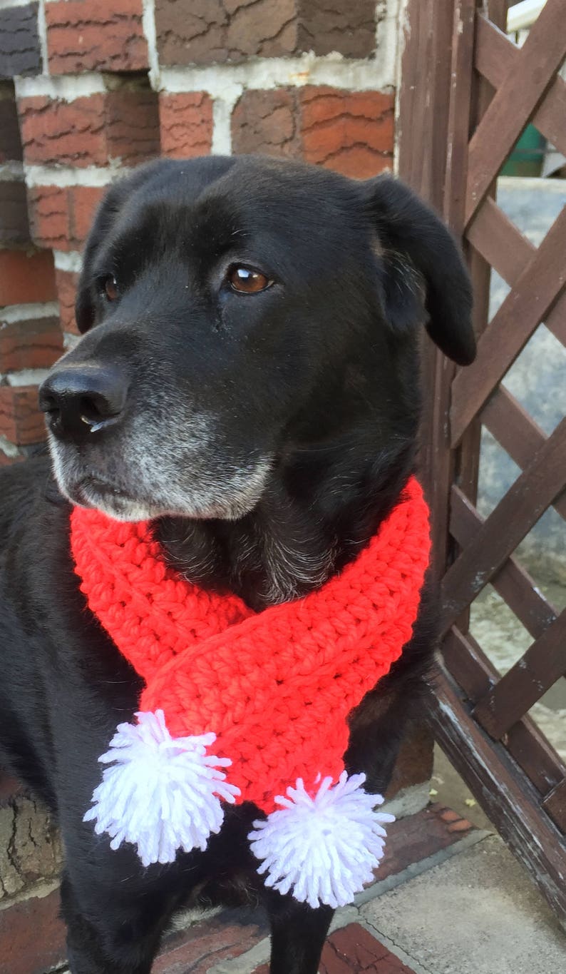 Santa Scarf for Dog Red Dog Scarf With Pom Poms Red Dog - Etsy