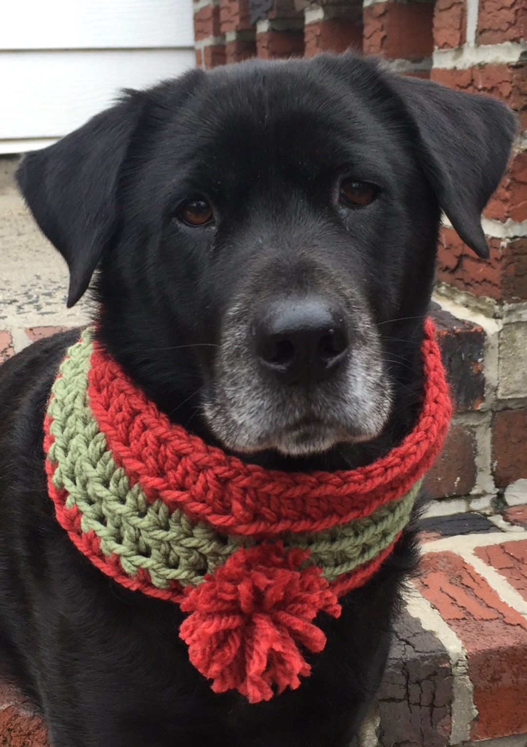 Dog Scarf — Red Dog Cowl — Red Infinity Dog Scarf With Pom Pom — Snood ...