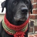 Dog Scarf Red Dog Cowl Red Infinity Dog Scarf With Pom Pom Snood for ...