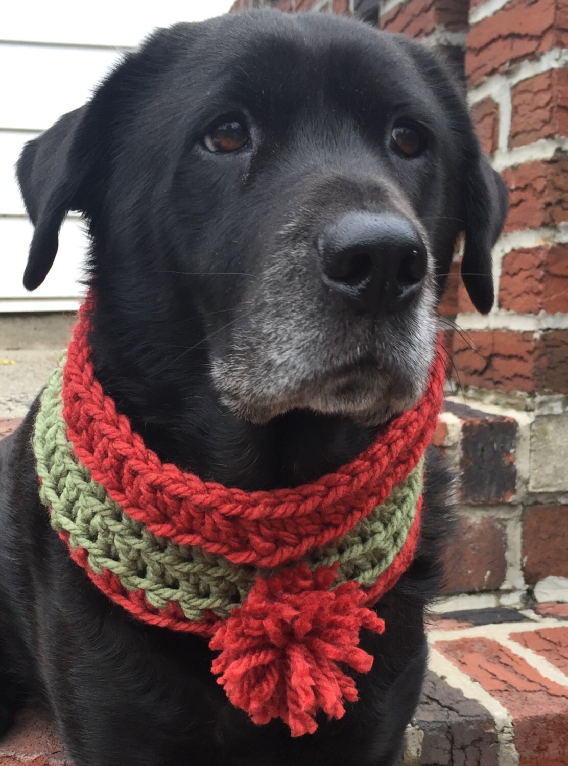 Dog Scarf Red Dog Cowl Red Infinity Dog Scarf With Pom Pom | Etsy Canada