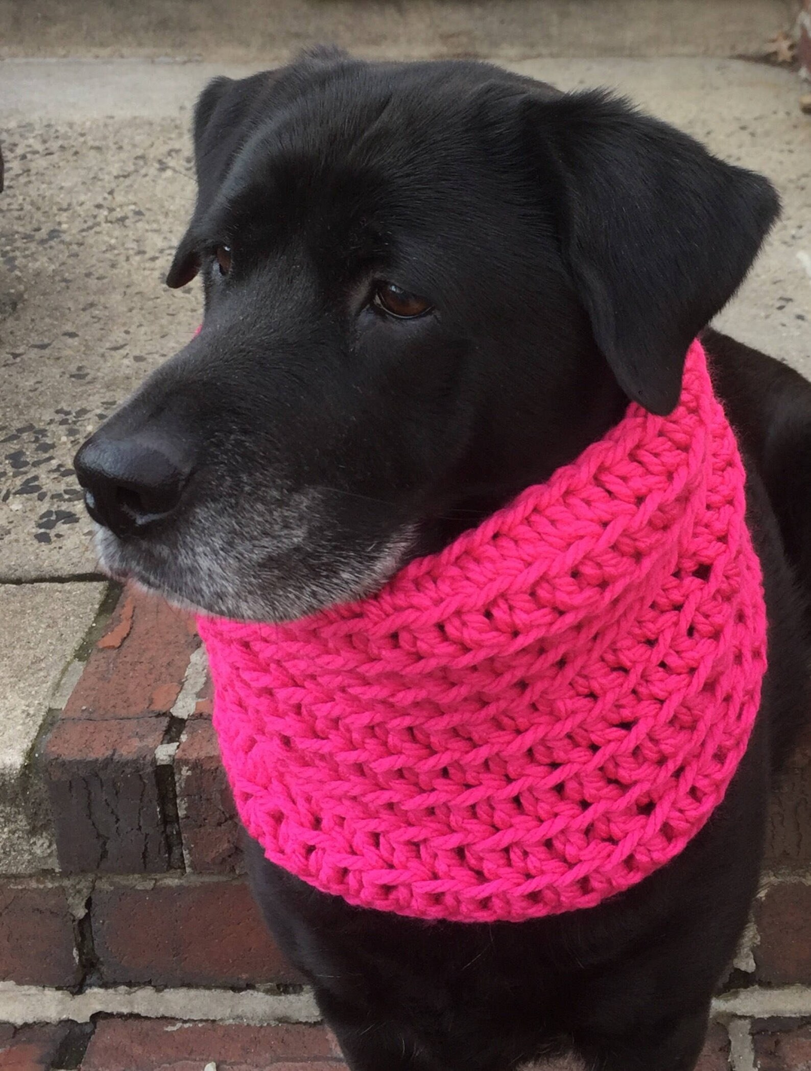 Pink Dog Snood — Hot Pink Dog Snood — Dog Scarf — Snood for Dog — Pink ...