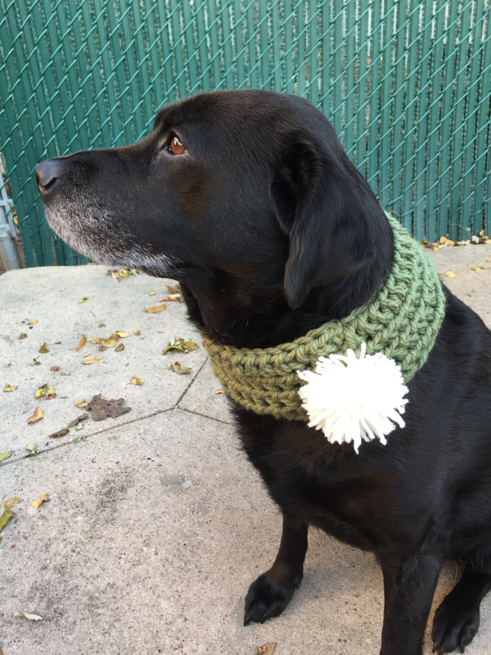 Dog Scarf The Emerald Dog Scarf Green Dog Cowl | Etsy