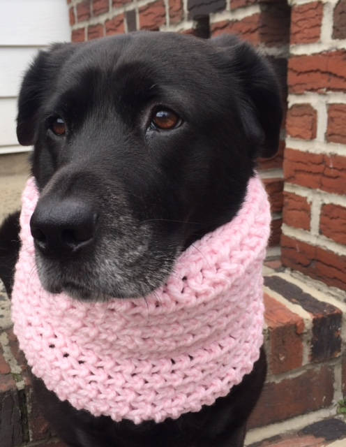 Pink Dog Snood — Dog Scarf — Snood for Dog — Pink Dog Scarf — Infinity ...