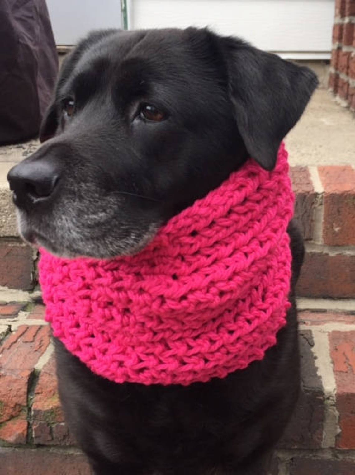 Pink Dog Snood — Hot Pink Dog Snood — Dog Scarf — Snood for Dog — Pink ...