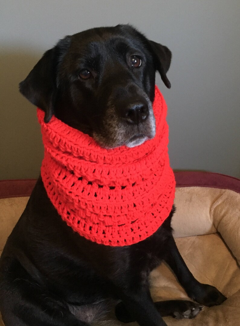 Red Dog Snood Pattern Dog Scarf Pattern Dog Snood Pattern - Etsy