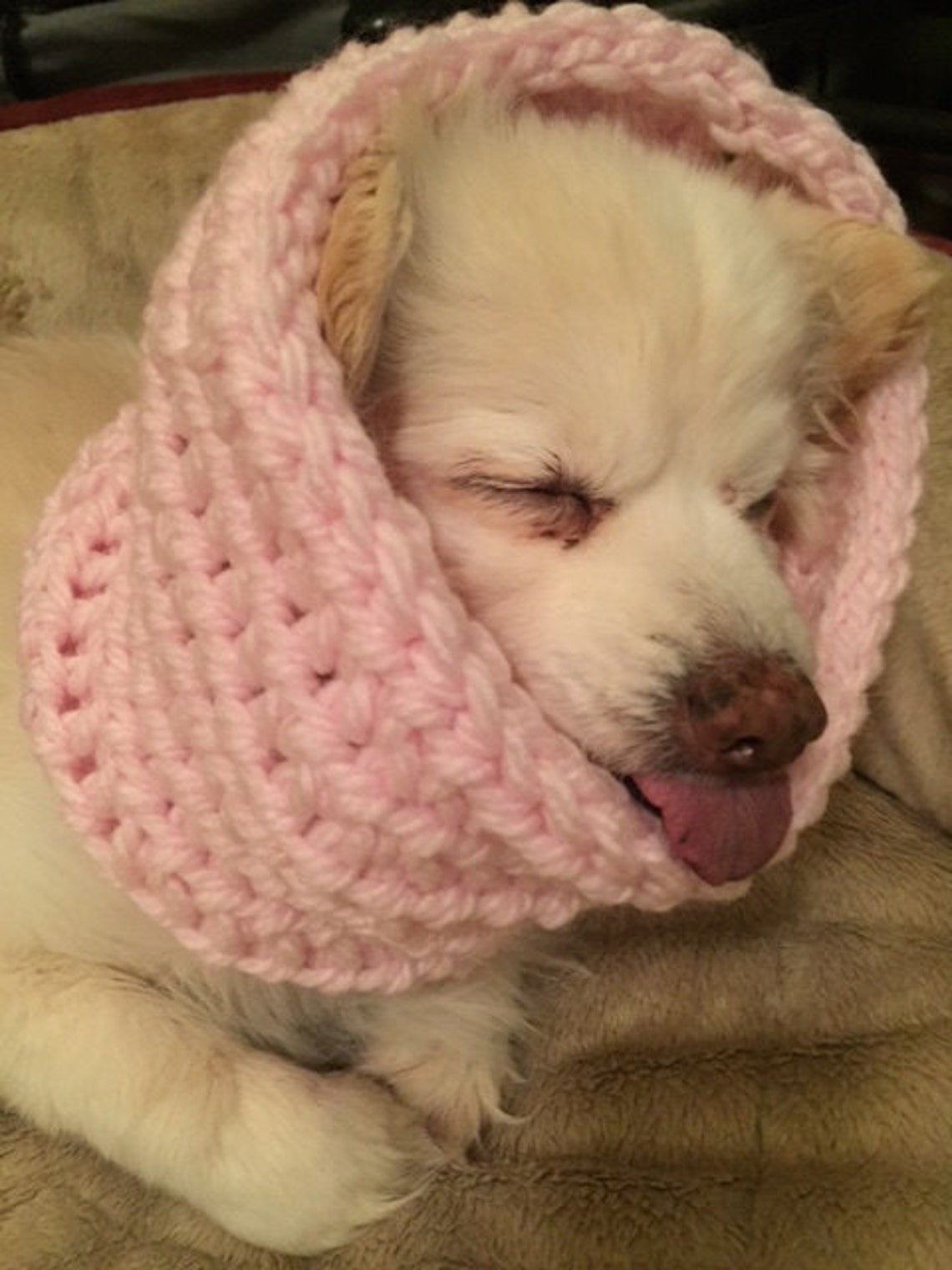 Pink Rose Infinity Dog Snood Dog Scarf Snood for Dog Pink | Etsy