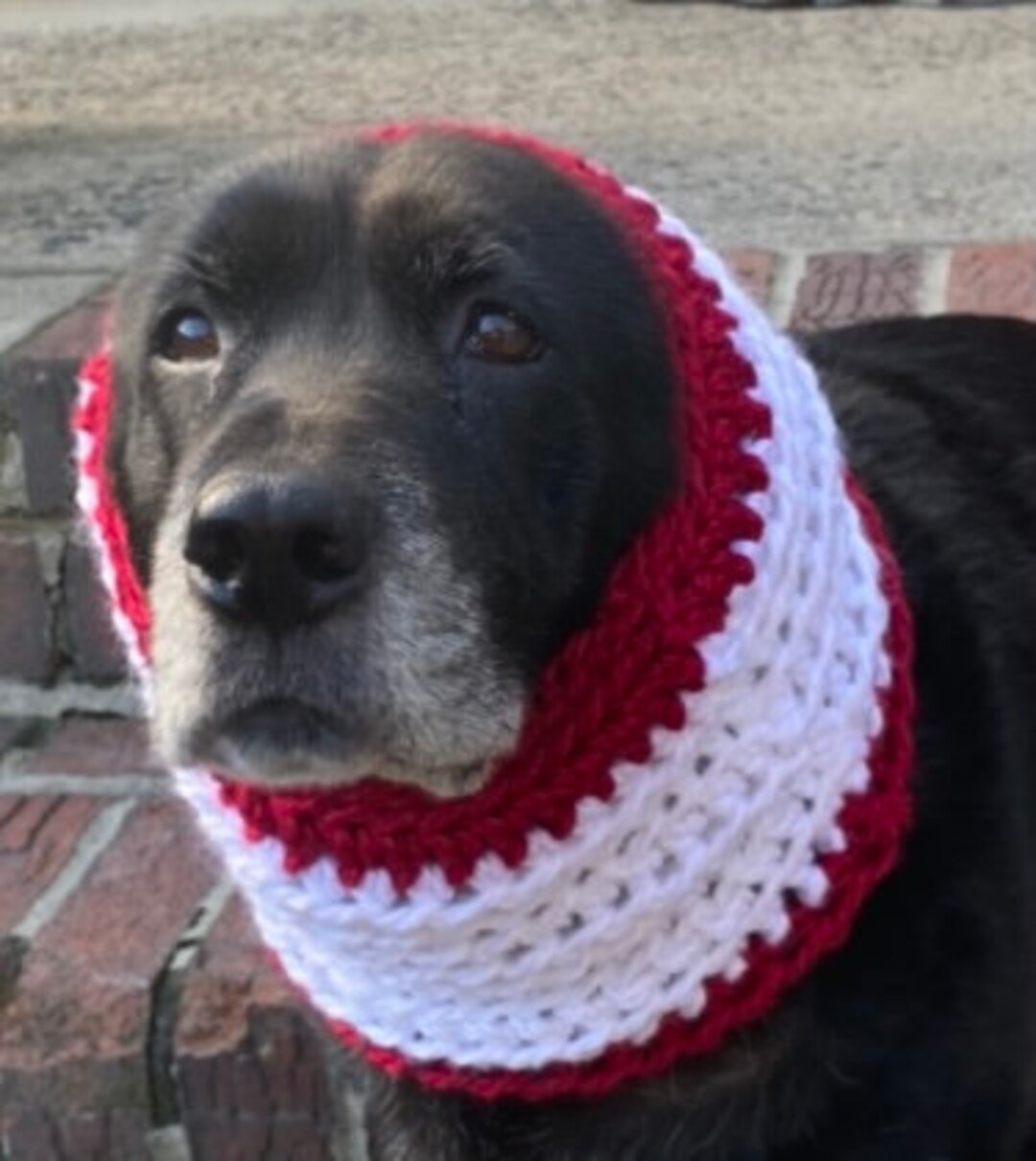 Red and White Dog Snood— Dog Scarf Red — Snood for Dog White — Red Dog ...