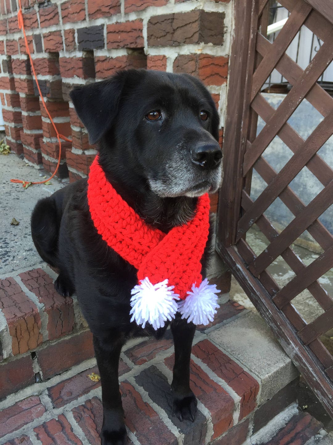 Santa Scarf for Dog — Red Dog Scarf With Pom Poms — Red Dog Scarf ...
