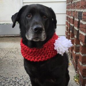 Dog Scarf — the "scarlet Puppy" Dog Scarf — Red Dog Scarf — Dog Scarf ...