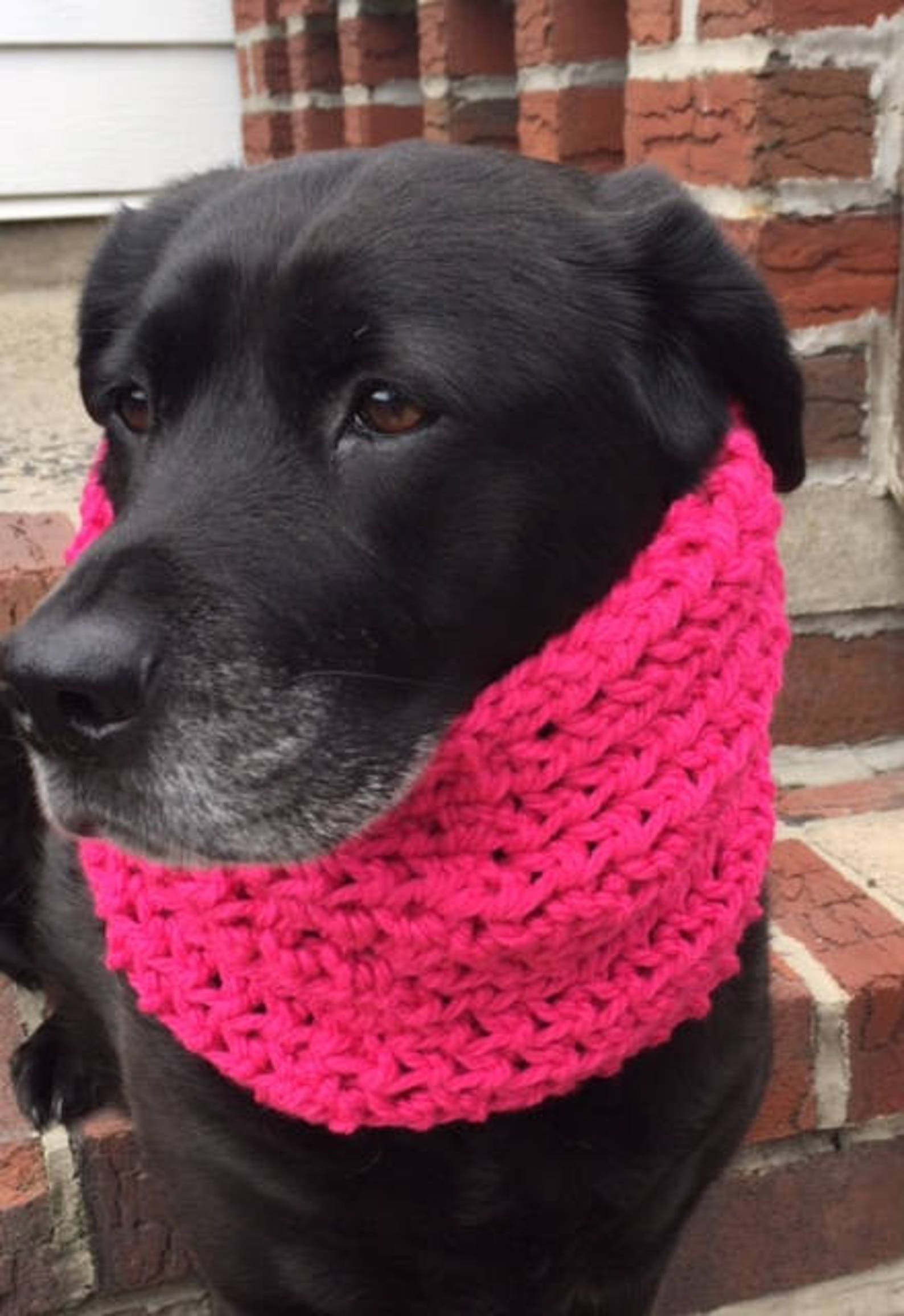 Pink Dog Snood — Hot Pink Dog Snood — Dog Scarf — Snood for Dog — Pink ...
