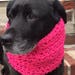 Pink Dog Snood Hot Pink Dog Snood Dog Scarf Snood for - Etsy