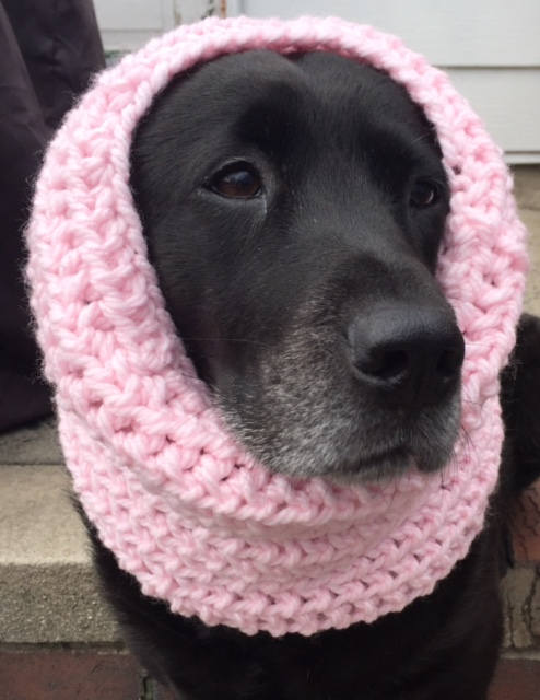 Pink Dog Snood — Dog Scarf — Snood for Dog — Pink Dog Scarf — Infinity ...