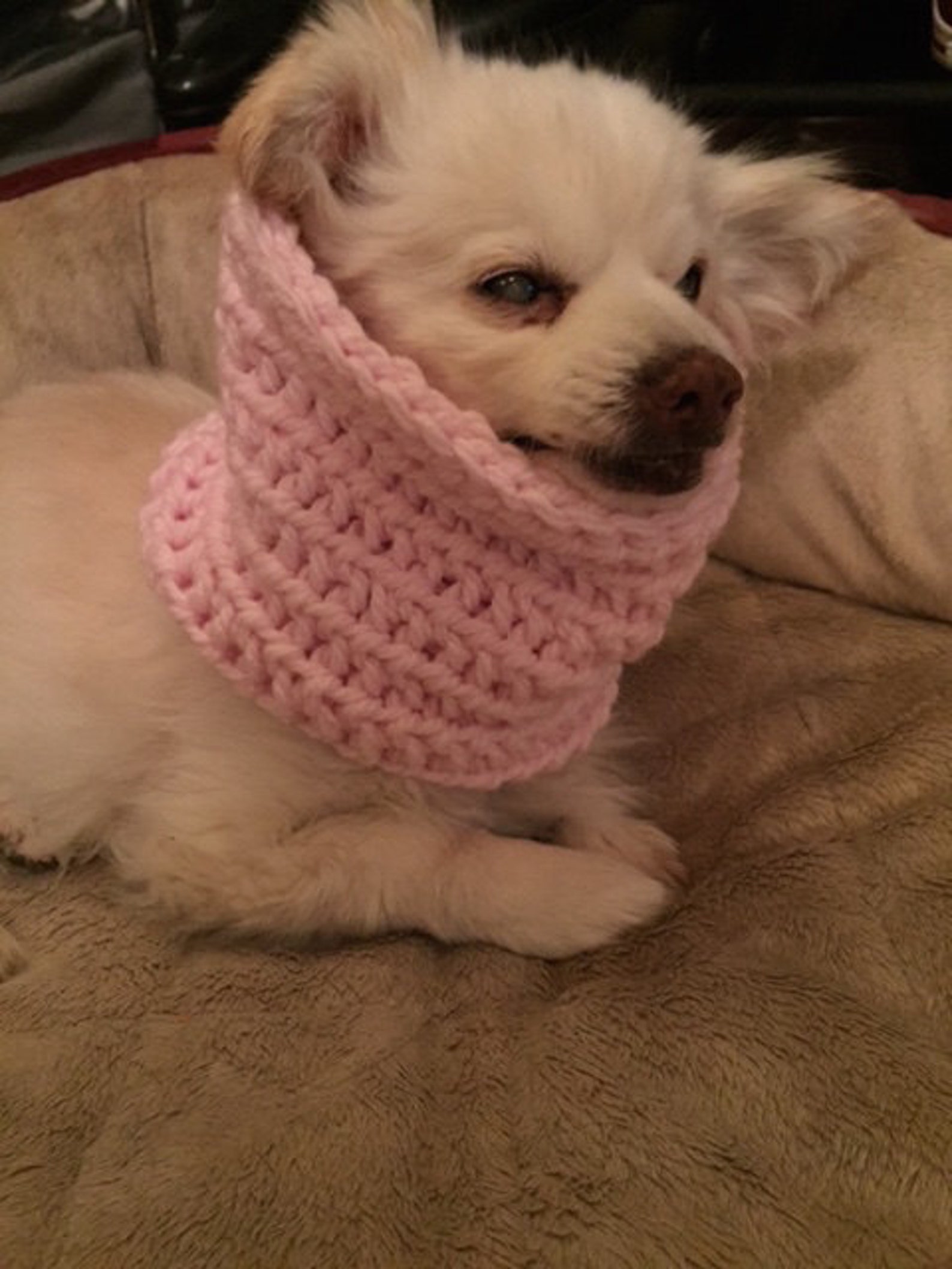 Pink Rose Infinity Dog Snood Dog Scarf Snood for Dog Pink - Etsy