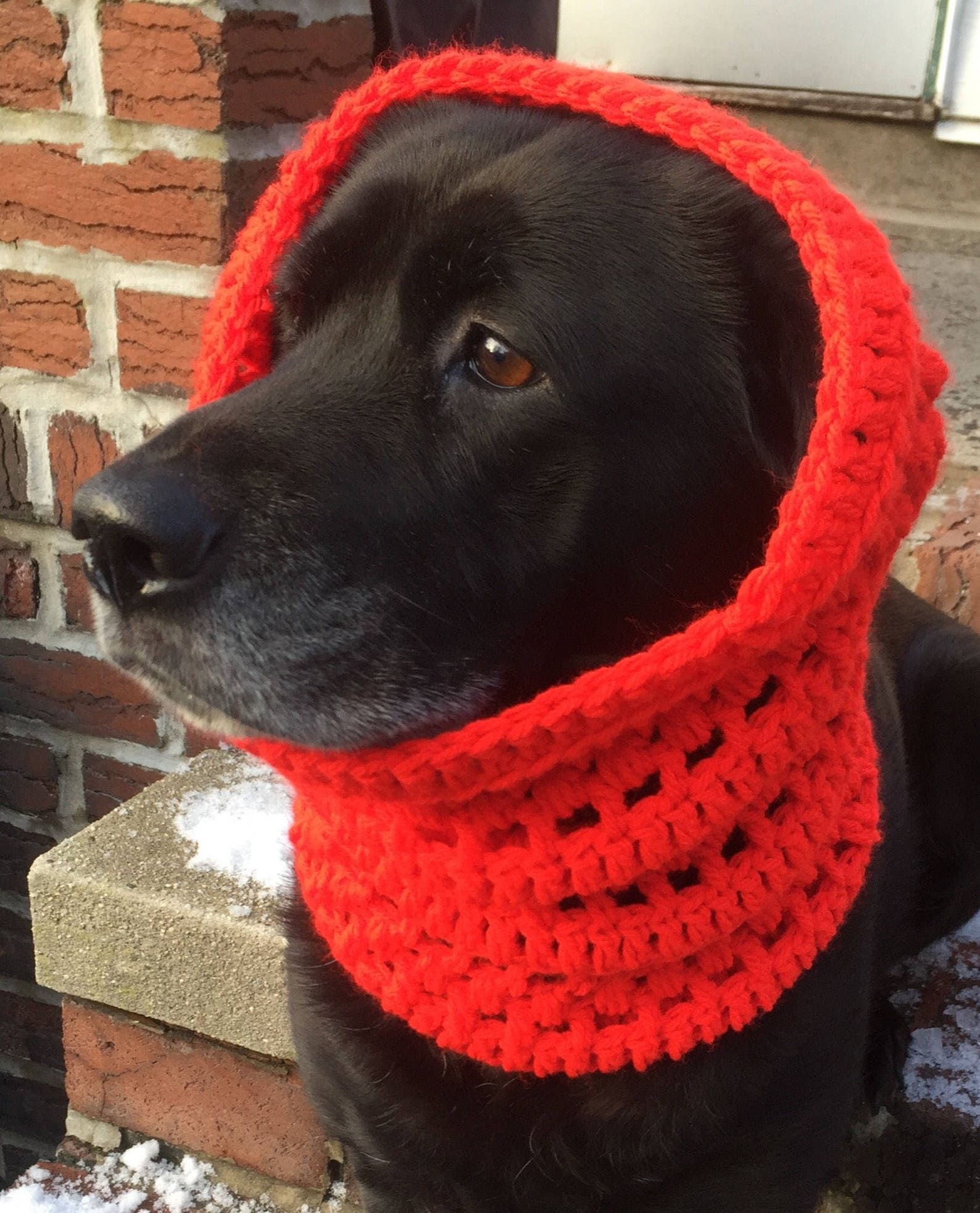 Red Dog Snood Pattern Dog Scarf Pattern Dog Snood Pattern - Etsy