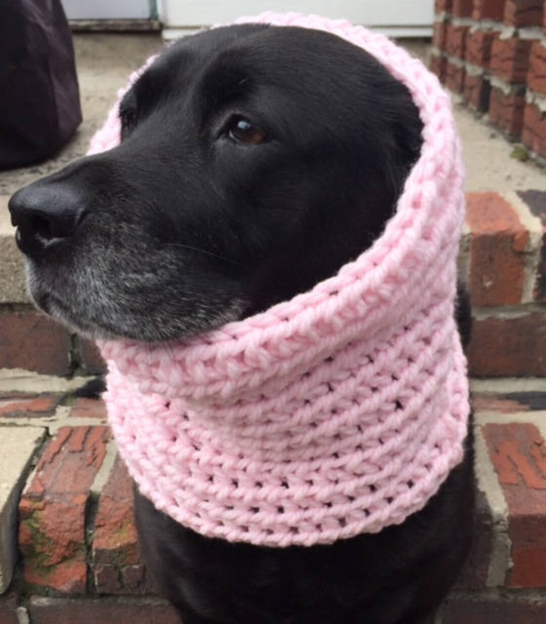 Pink Dog Snood — Dog Scarf — Snood for Dog — Pink Dog Scarf — Infinity ...