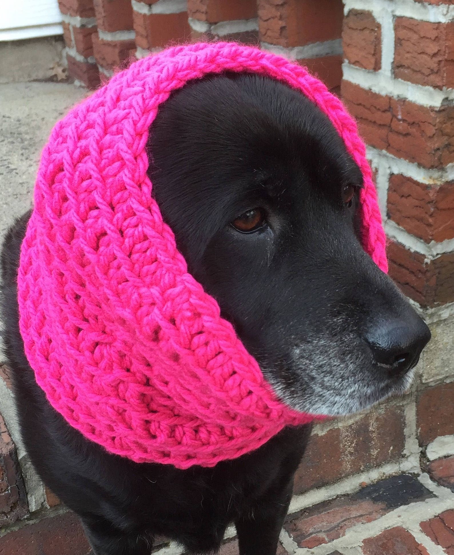 Pink Dog Snood — Hot Pink Dog Snood — Dog Scarf — Snood for Dog — Pink ...