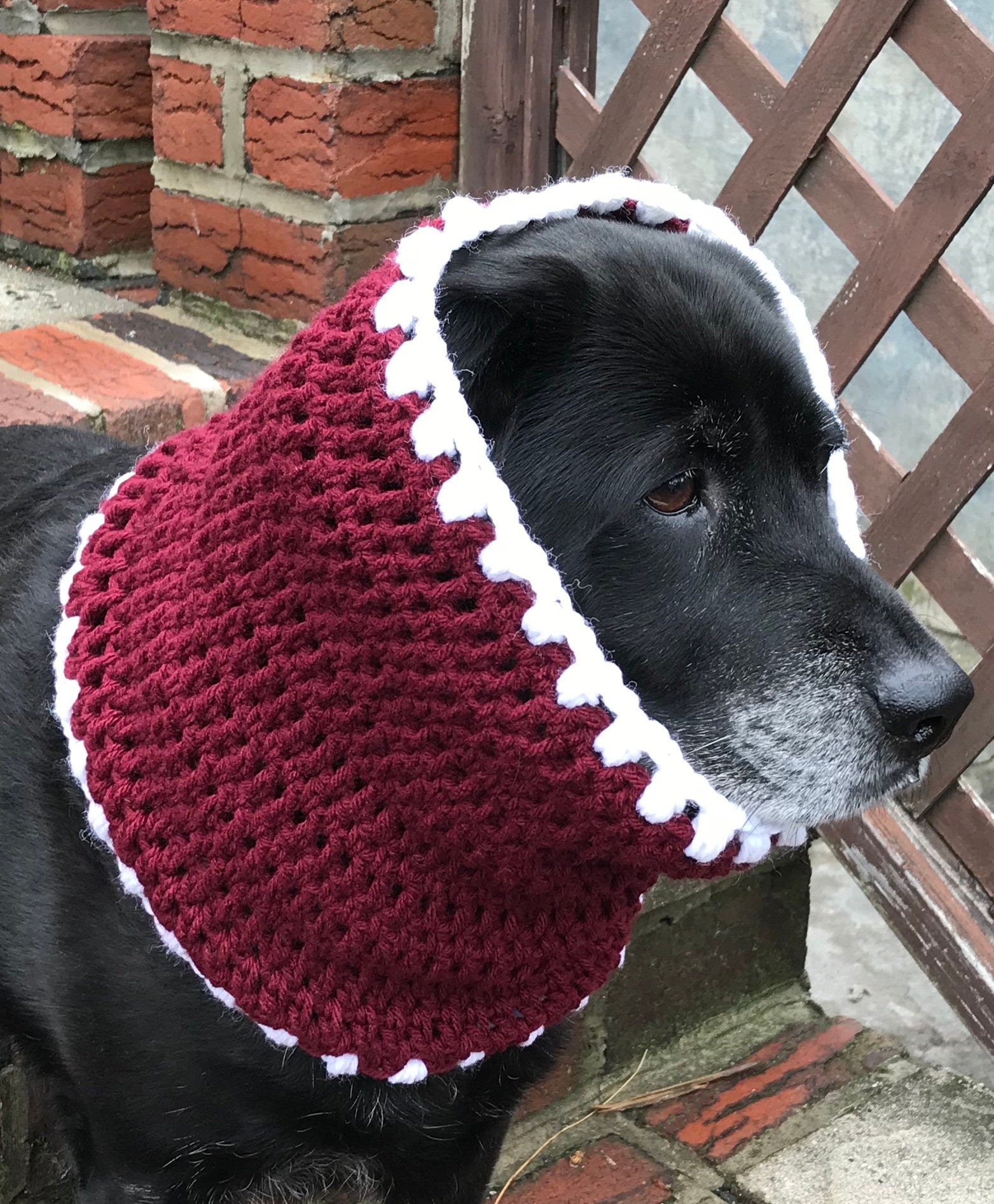 Dog Snood Pattern / Beginner Textured Dog Scarf Pattern / Dog | Etsy