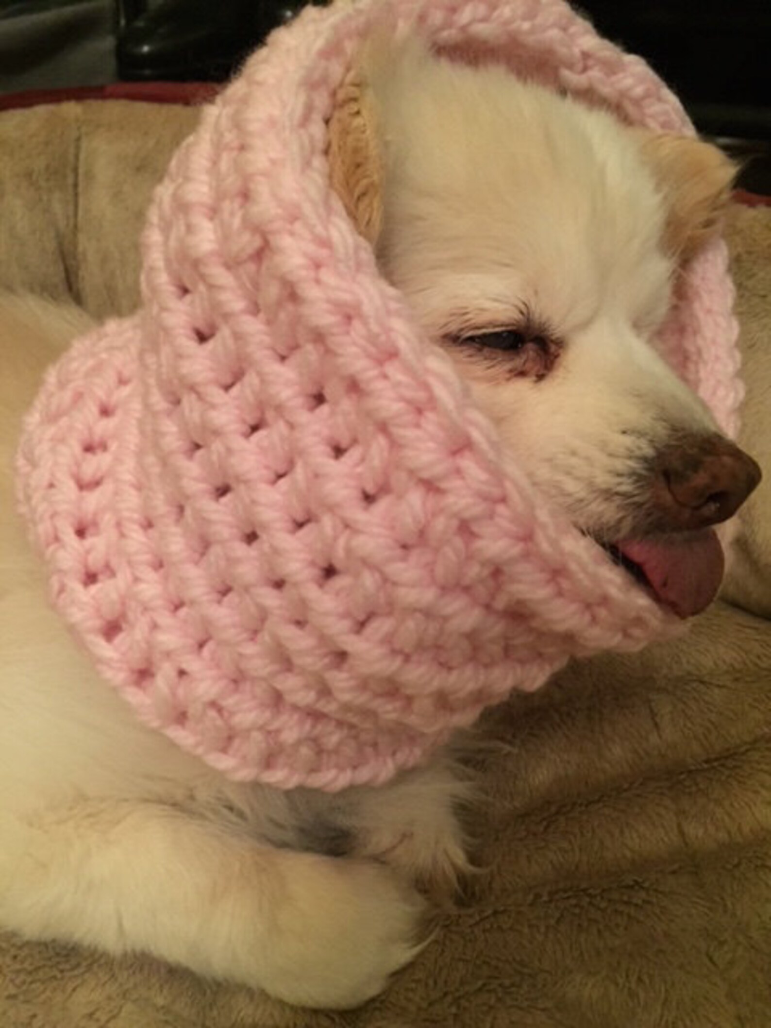 Pink Rose Infinity Dog Snood Dog Scarf Snood for Dog Pink - Etsy