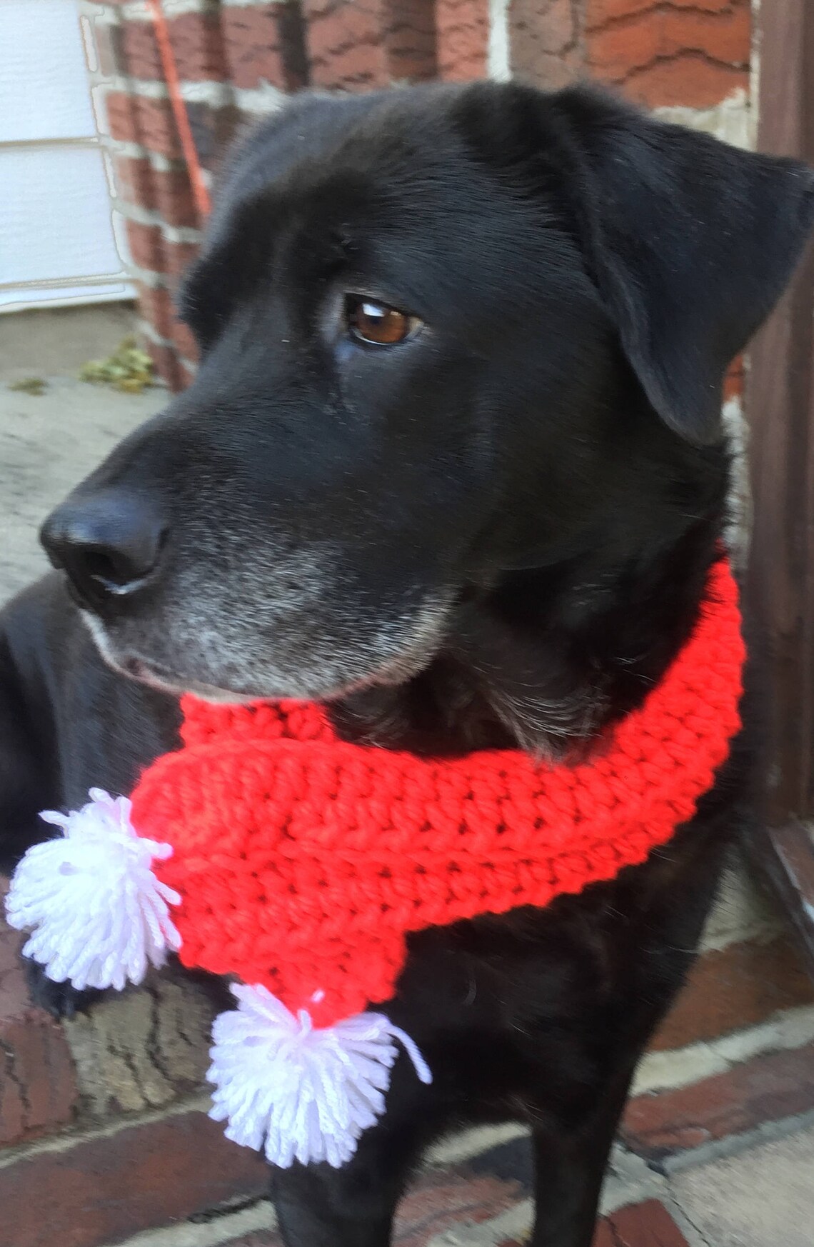 Santa Scarf for Dog Red Dog Scarf With Pom Poms Red Dog | Etsy