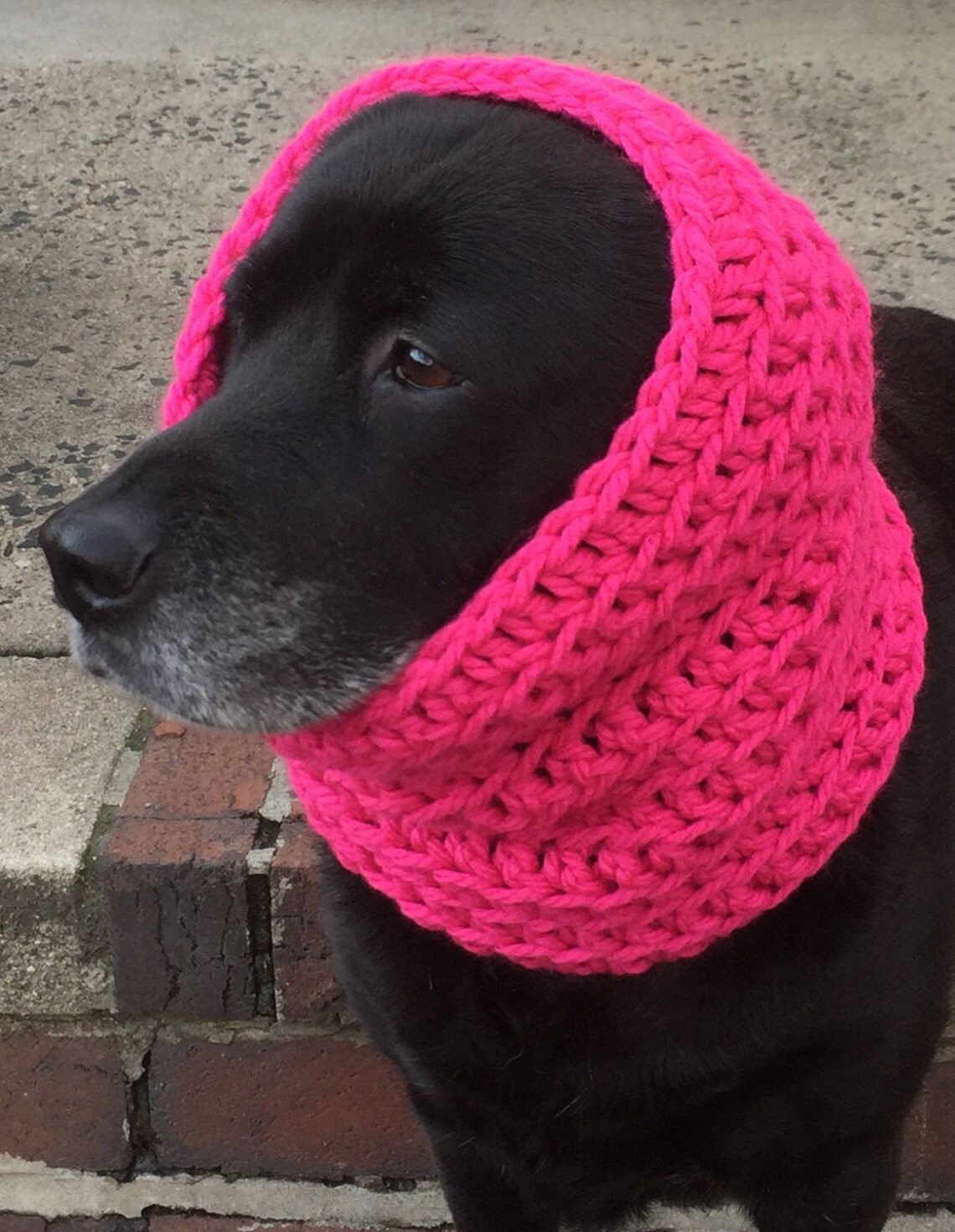 Pink Dog Snood — Hot Pink Dog Snood — Dog Scarf — Snood for Dog — Pink ...