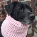 Pink Dog Snood — Dog Scarf — Snood for Dog — Pink Dog Scarf — Infinity ...