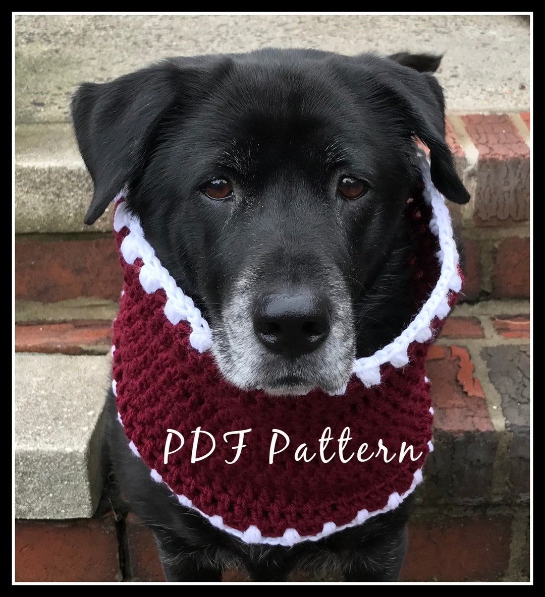 Dog Snood Pattern / Beginner Textured Dog Scarf Pattern / Dog Snood ...