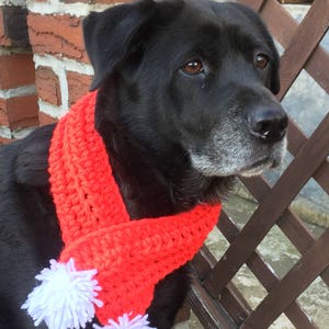 Santa Scarf for Dog — Red Dog Scarf With Pom Poms — Red Dog Scarf ...