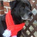 Santa Scarf for Dog Red Dog Scarf With Pom Poms Red Dog - Etsy