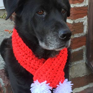 Santa Scarf for Dog — Red Dog Scarf With Pom Poms — Red Dog Scarf ...