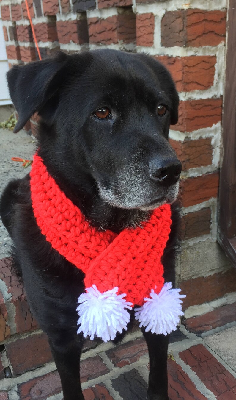 Santa Scarf for Dog Red Dog Scarf With Pom Poms Red Dog - Etsy