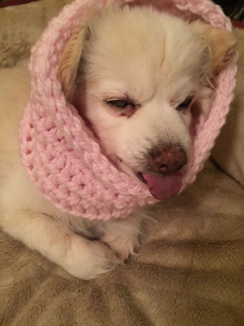 Pink Rose Infinity Dog Snood Dog Scarf Snood for Dog Pink - Etsy