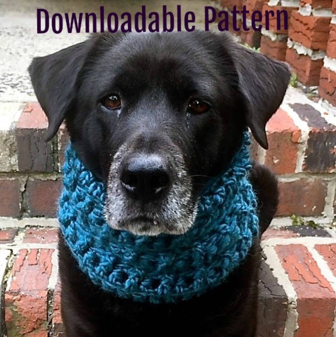 Dog Snood Pattern — Dog Scarf Pattern — Dog Snood Pattern Crochet — Dog ...