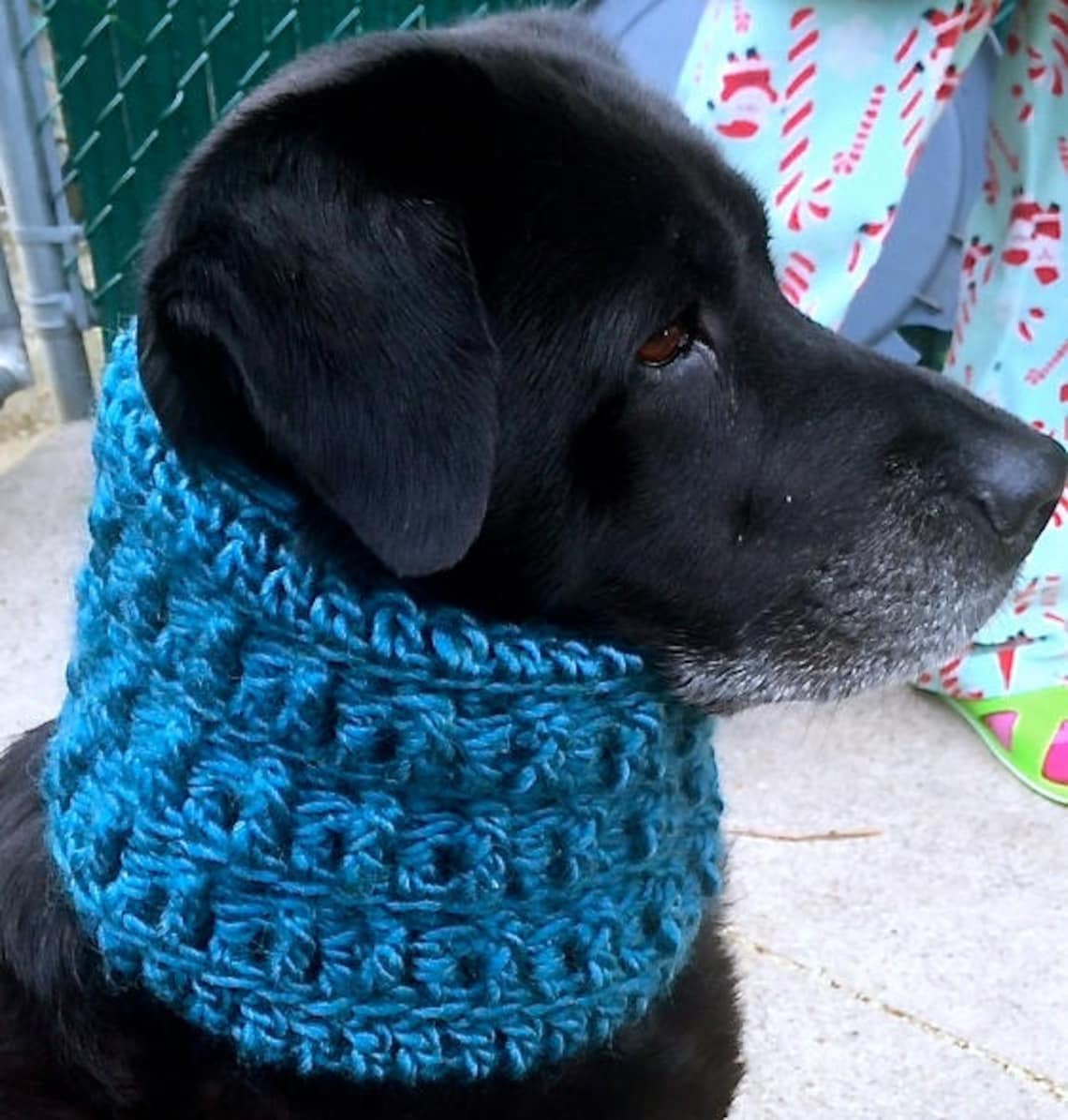 Dog Snood Pattern Dog Scarf Pattern Dog Snood Pattern | Etsy