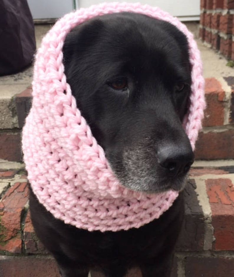 Pink Dog Snood — Dog Scarf — Snood for Dog — Pink Dog Scarf — Infinity ...