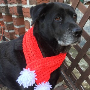 Santa Scarf for Dog — Red Dog Scarf With Pom Poms — Red Dog Scarf ...