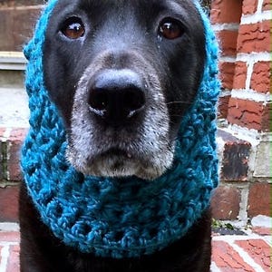 Dog Snood Pattern — Dog Scarf Pattern — Dog Snood Pattern Crochet — Dog ...