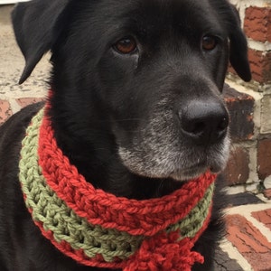 Dog Scarf Red Dog Cowl Red Infinity Dog Scarf With Pom Pom | Etsy Canada