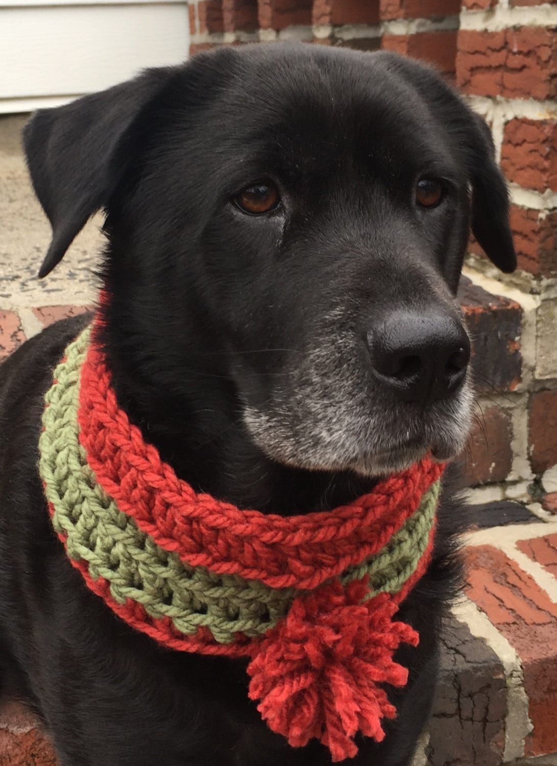 Dog Scarf Red Dog Cowl Red Infinity Dog Scarf With Pom Pom | Etsy