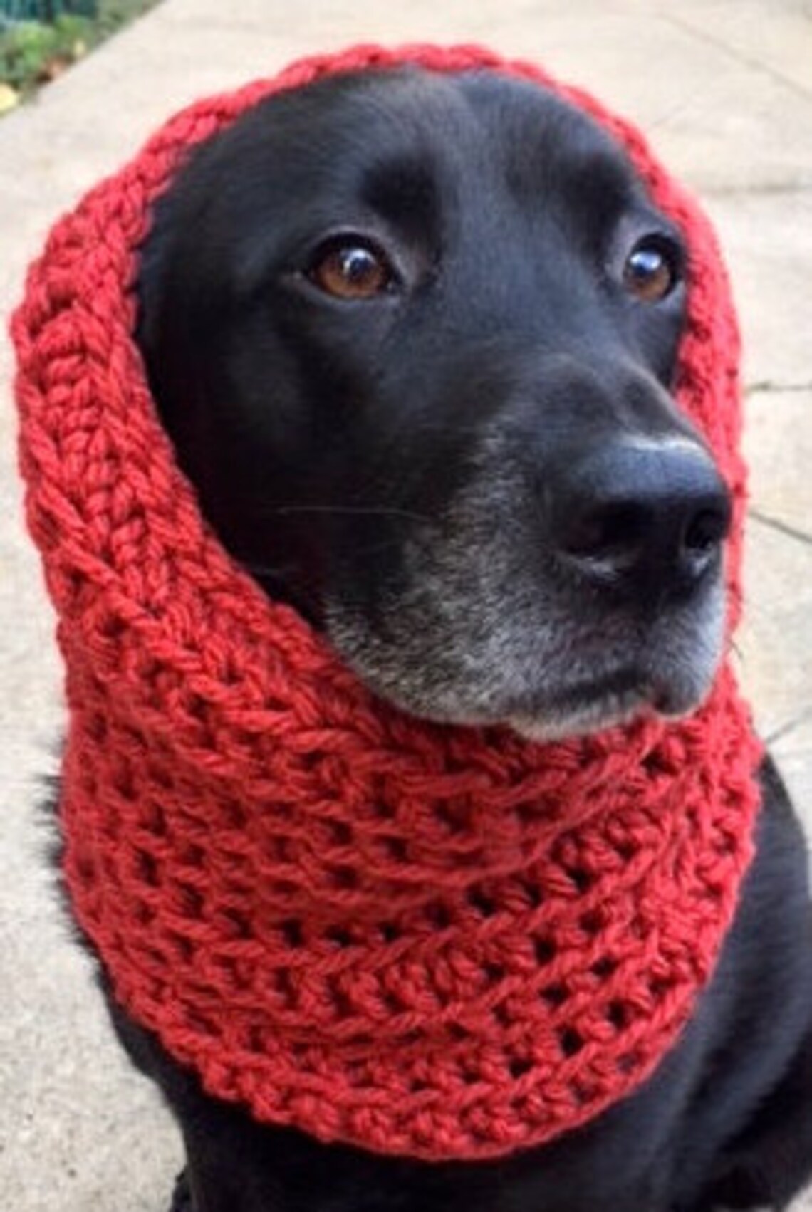 Dog Snood Red The Clifford Dog Snood Dog Scarf | Etsy