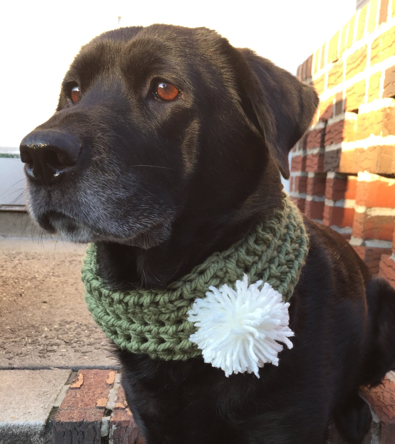 Dog Scarf The Emerald Dog Scarf Green Dog Cowl | Etsy