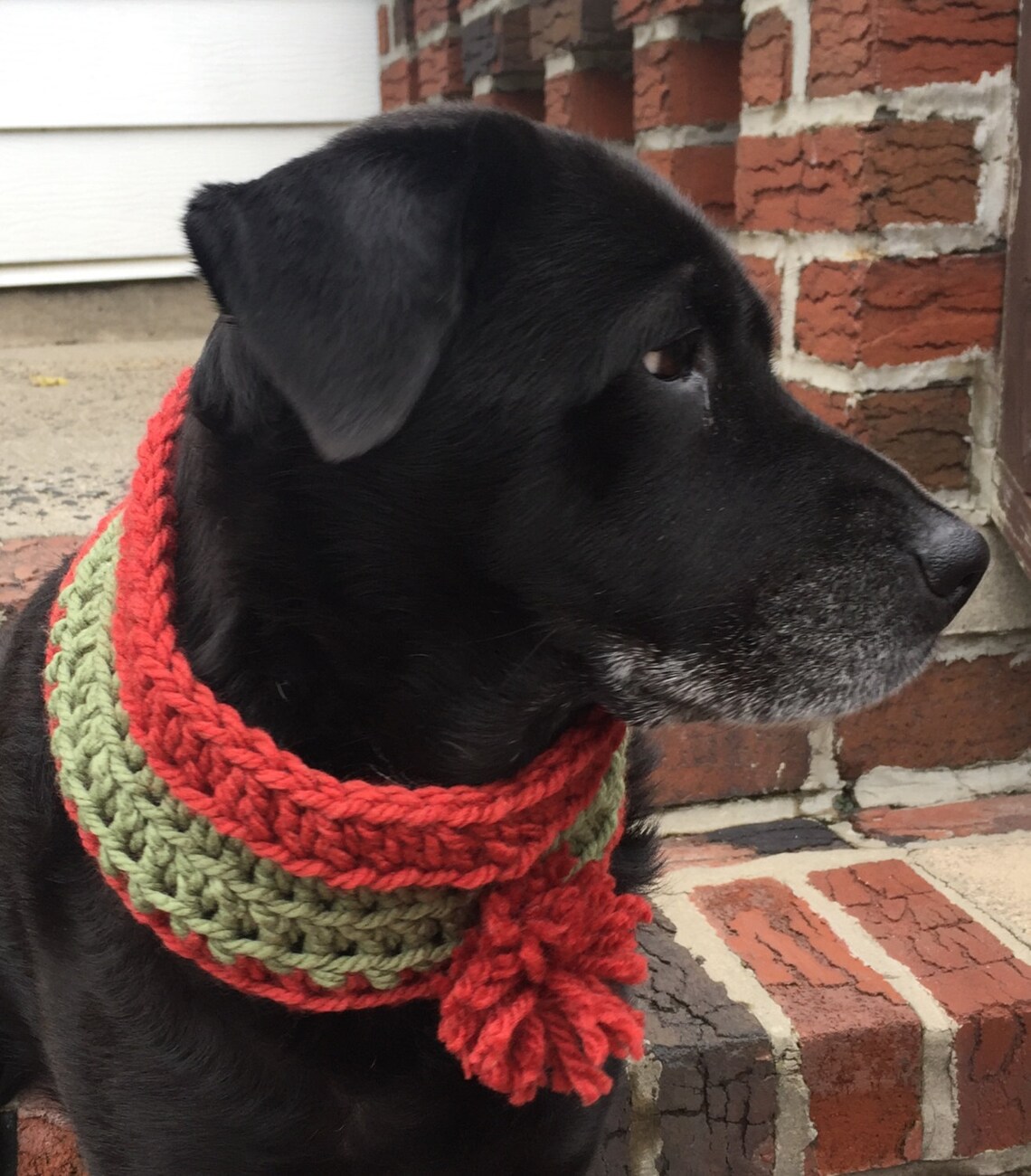 Dog Scarf Red Dog Cowl Red Infinity Dog Scarf With Pom Pom | Etsy Canada