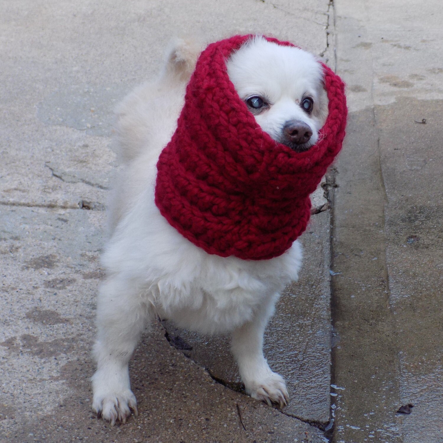 Pink Rose Infinity Dog Snood Dog Scarf Snood for Dog Pink - Etsy
