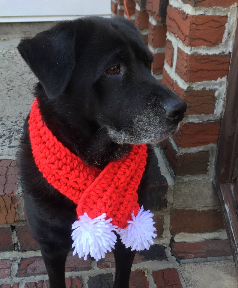 Santa Scarf for Dog Red Dog Scarf With Pom Poms Red Dog - Etsy