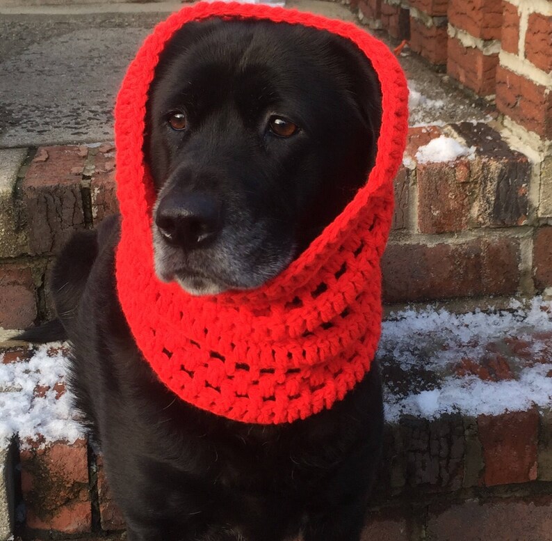 Red Dog Snood Pattern Dog Scarf Pattern Dog Snood Pattern - Etsy