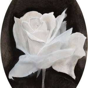 Chalk & Charcoal White Rose Drawing 6x9 Limited Edition Vintage Style ...