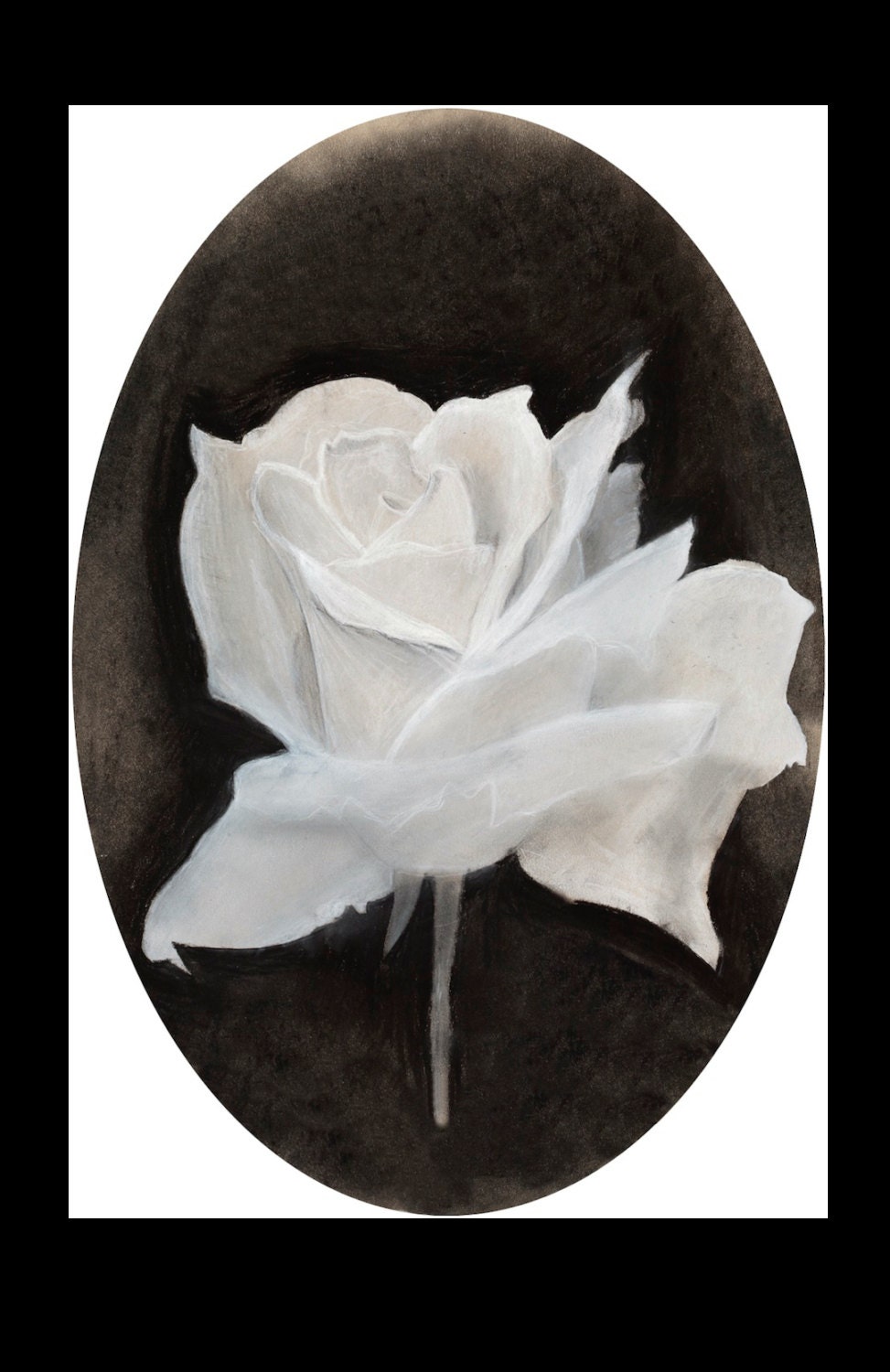 Chalk & Charcoal White Rose Drawing 6x9 Limited Edition Vintage Style ...